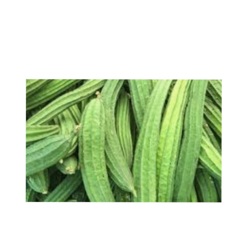 Ridge ( Torai ) 1lbs Vegetable – Sooriya Lanka Groceries